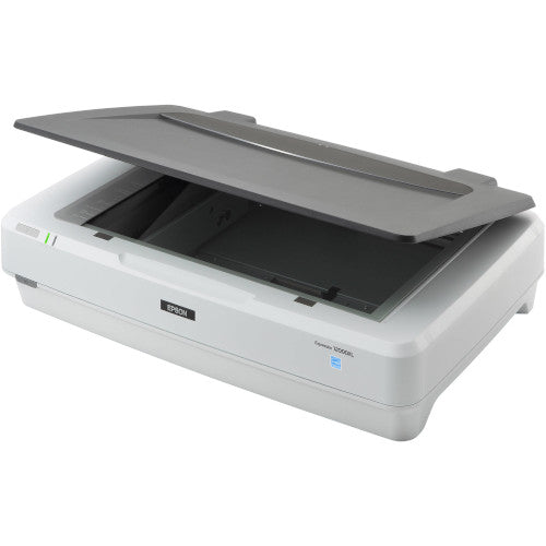Epson A3 Transparency Unit for Expression 12000XL Scanner B12B819221 ...